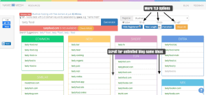 10+ Best Blog Name Generators 2023 (100+ Domain Name Ideas)