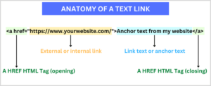 What is an External Link? Types, Examples, & Best Practices